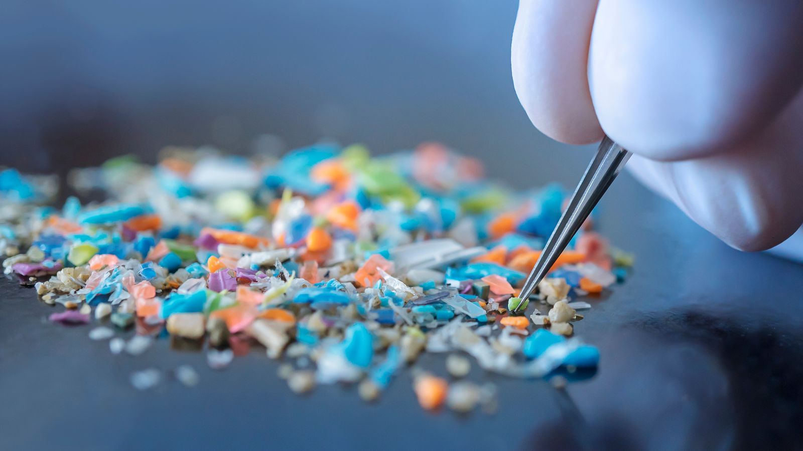 7 Ways Plastics Damage the Body - Thrive Functional Medicine